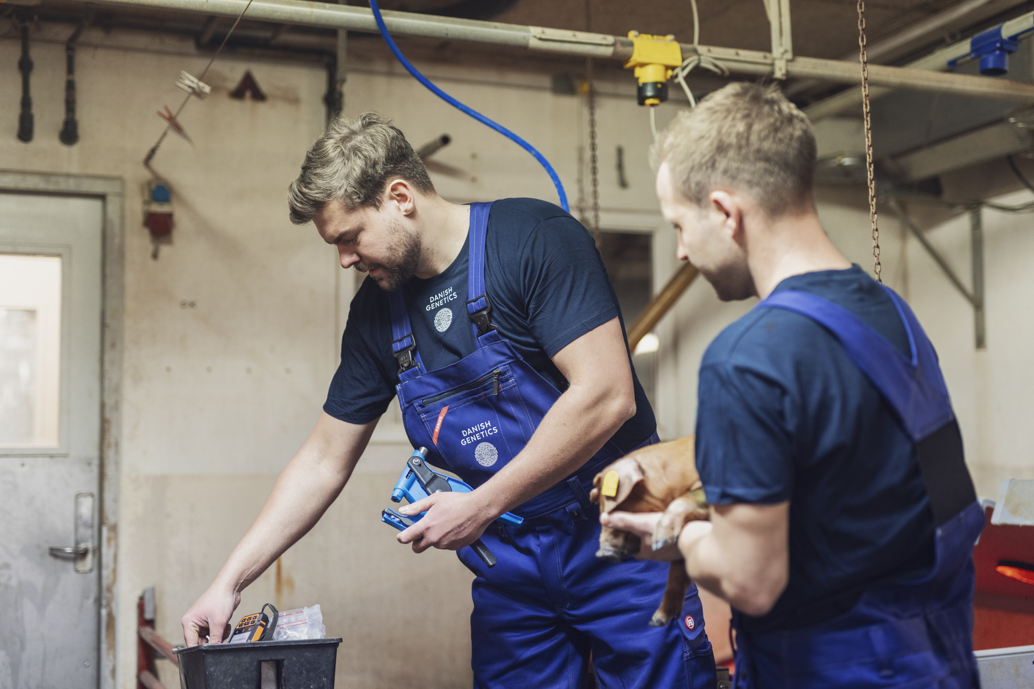 Danish Pig Genetics will make a difference and become a global leader.