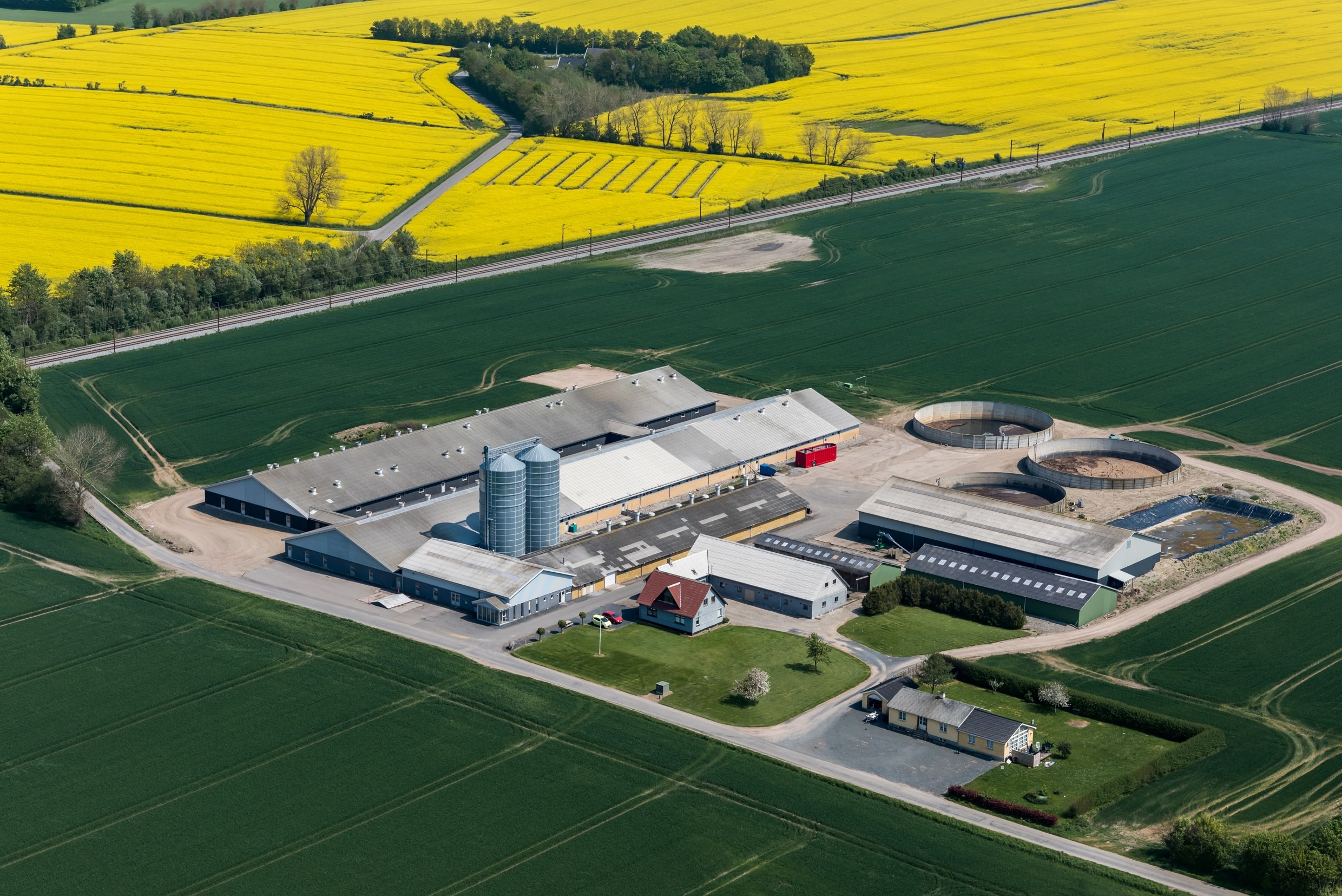 Gamborg Genetics - stolt Danish Genetics Partner