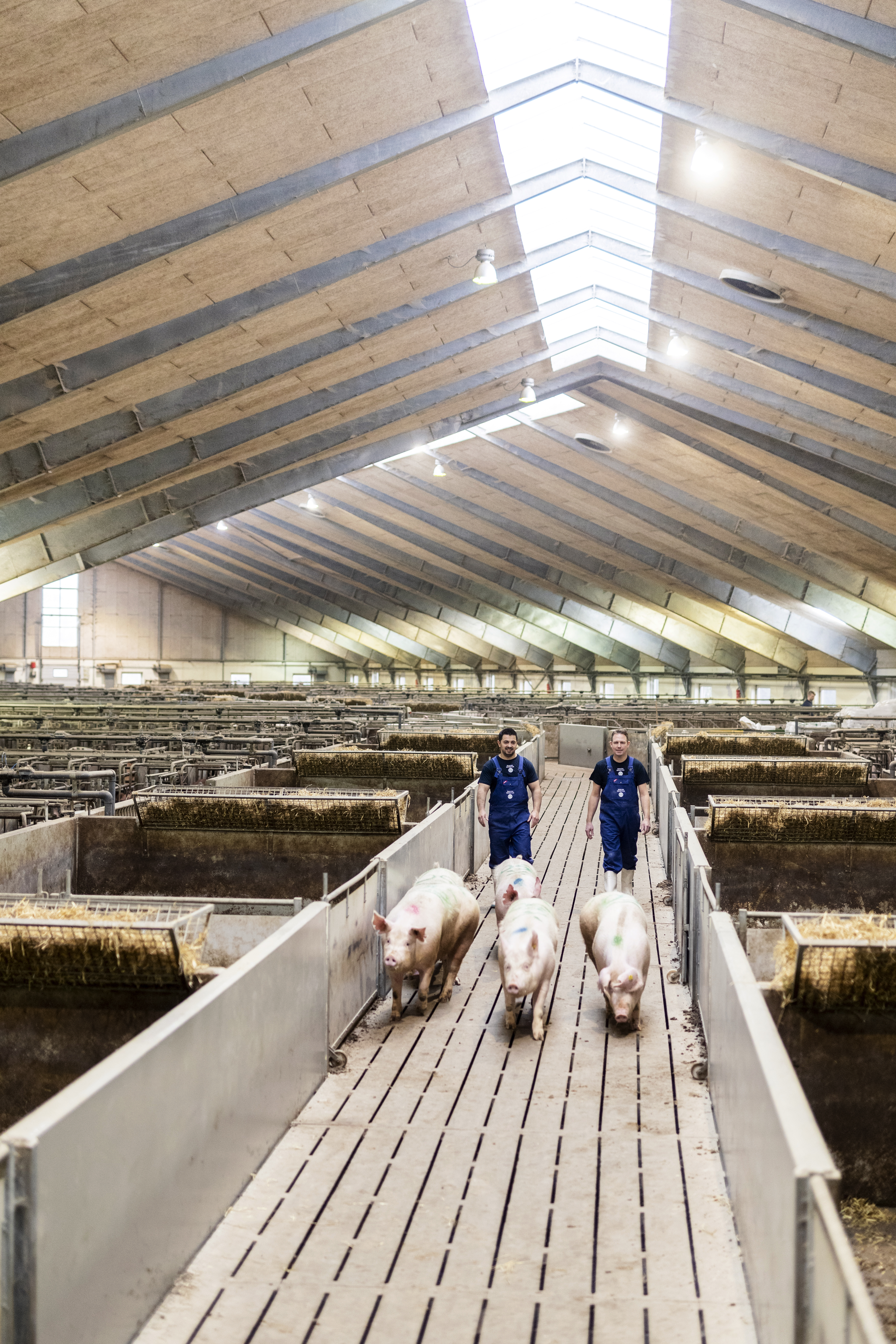 Danishgenetics.dk/en